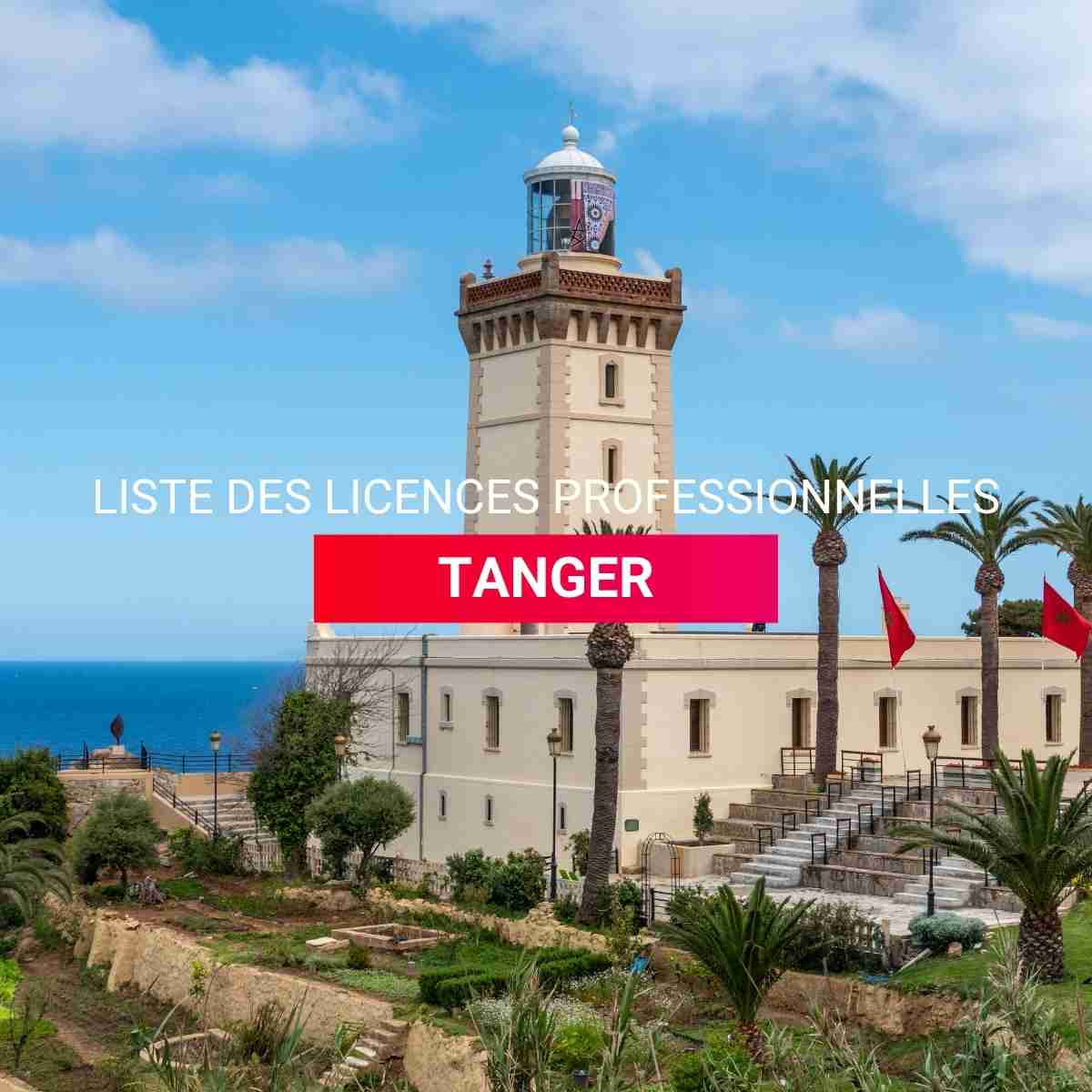 Liste des Licences Professionnelles à Fès | +20 Licences Pro