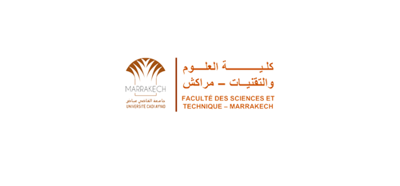 Master en Informatique pour les Systèmes (FST Marrakech)