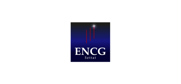 Master en Ingénierie du Management et Conseil (ENCG Settat)