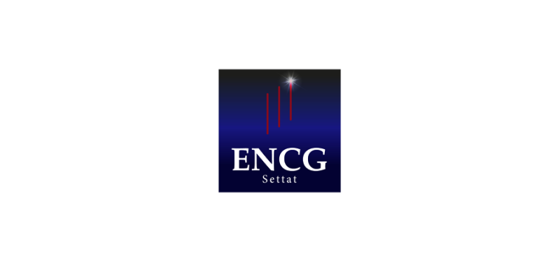 Master en Ingénierie du Management et Conseil (ENCG Settat)