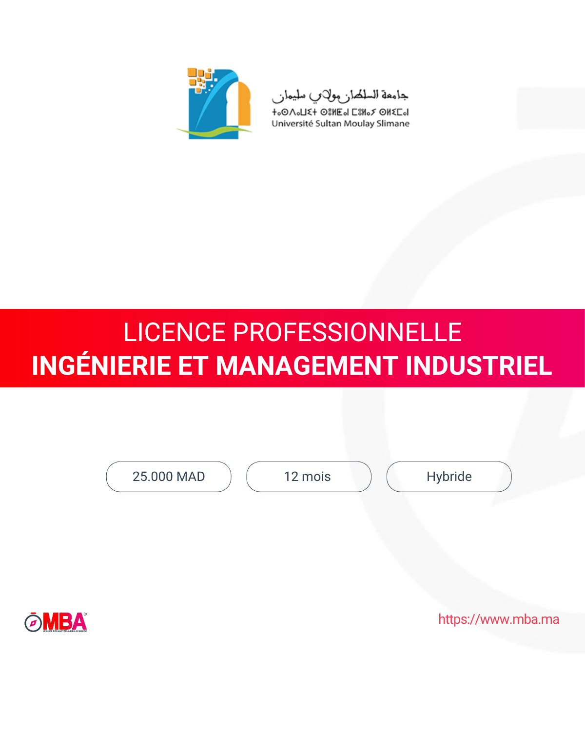Licence Professionnelle Ingénierie et Management Industriel (IMI)