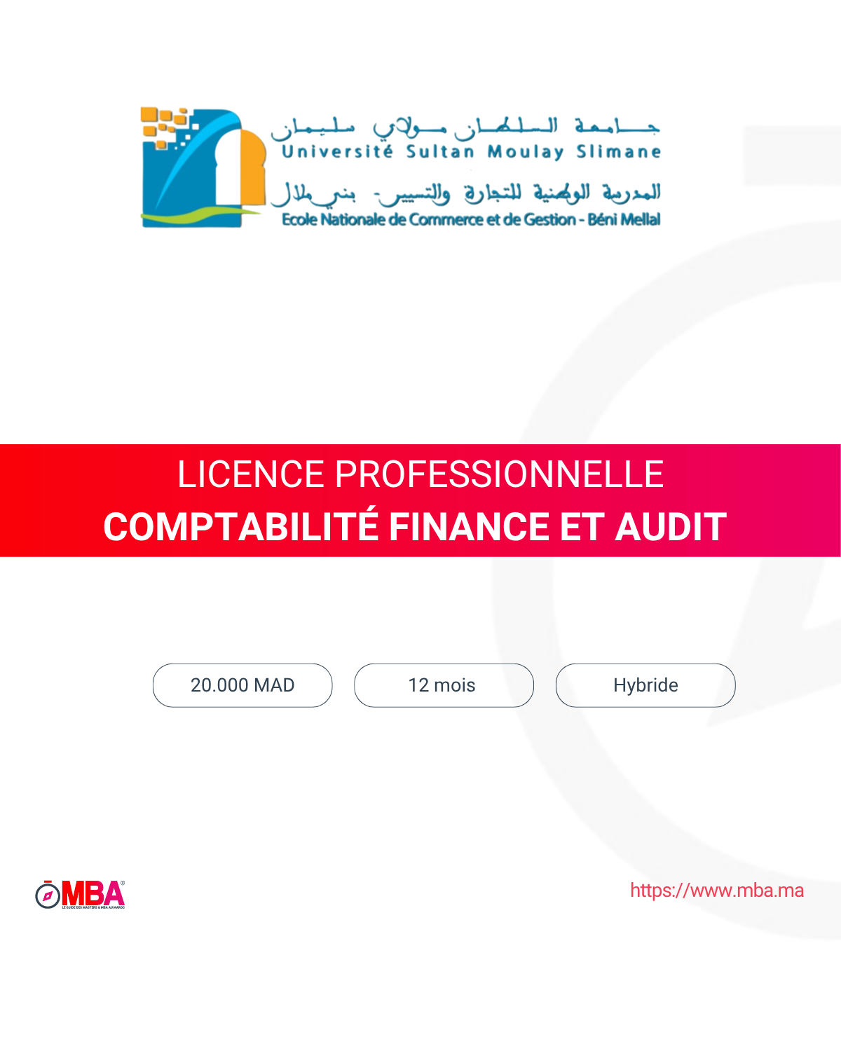 Licence Professionnelle Comptabilité Finance et Audit