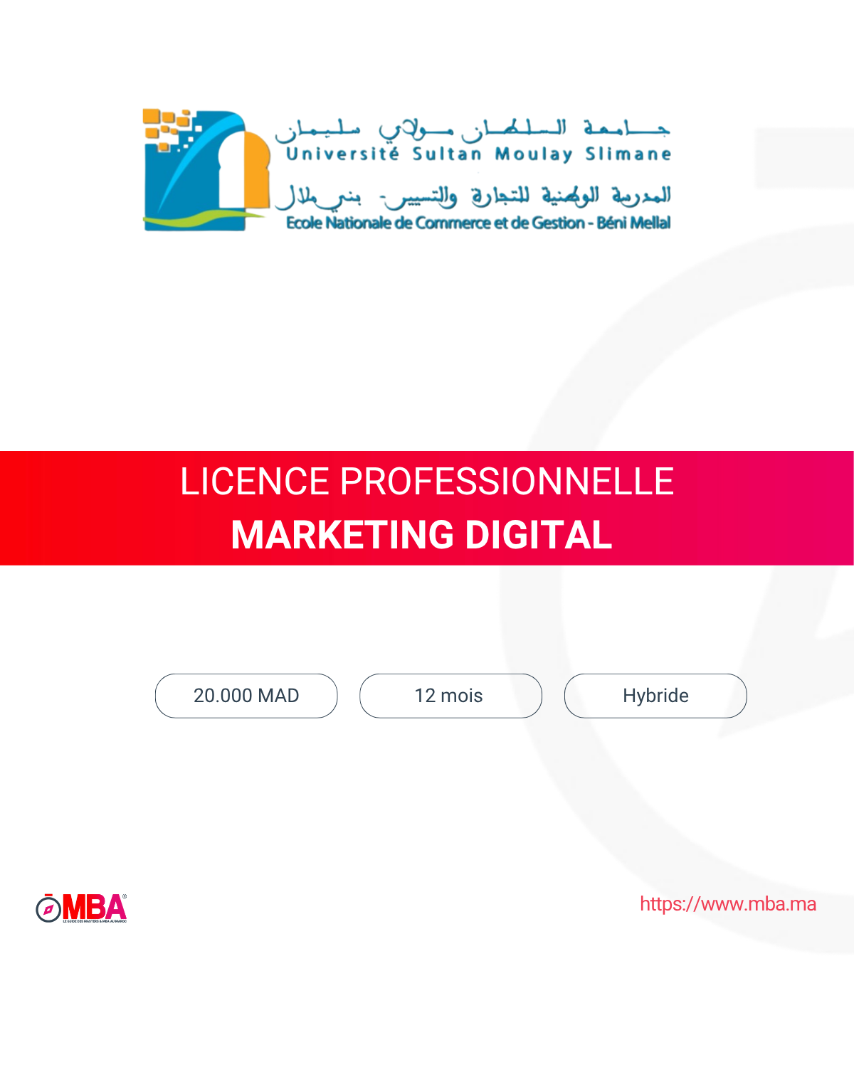 Licence Professionnelle Marketing Digital