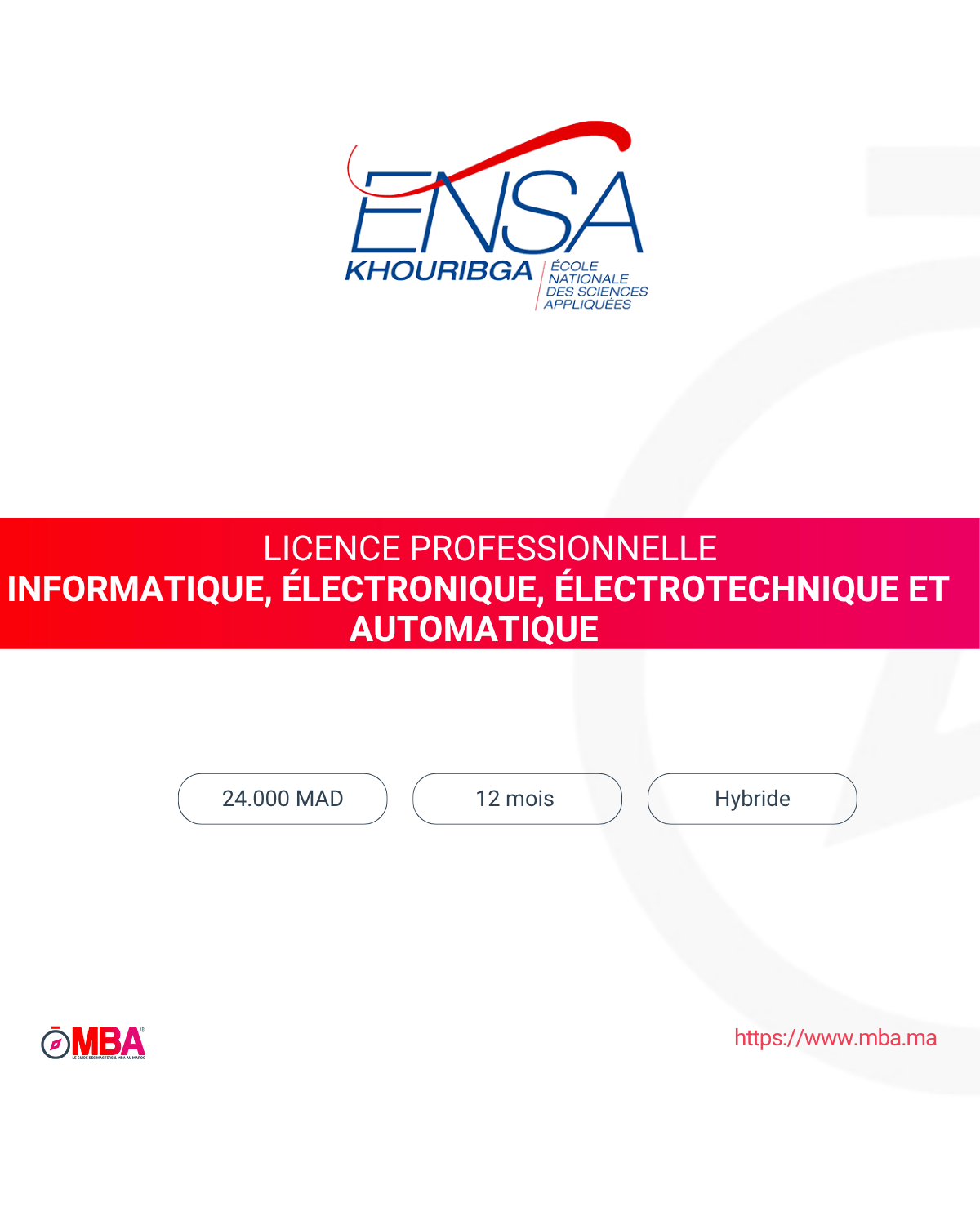Licence Professionnelle d'Université Informatique, Électronique,