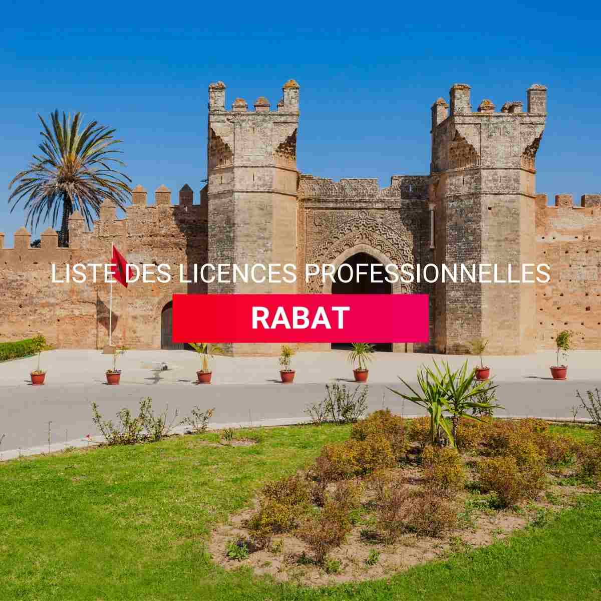 Liste des Licences Professionnelles à Fès | +20 Licences Pro